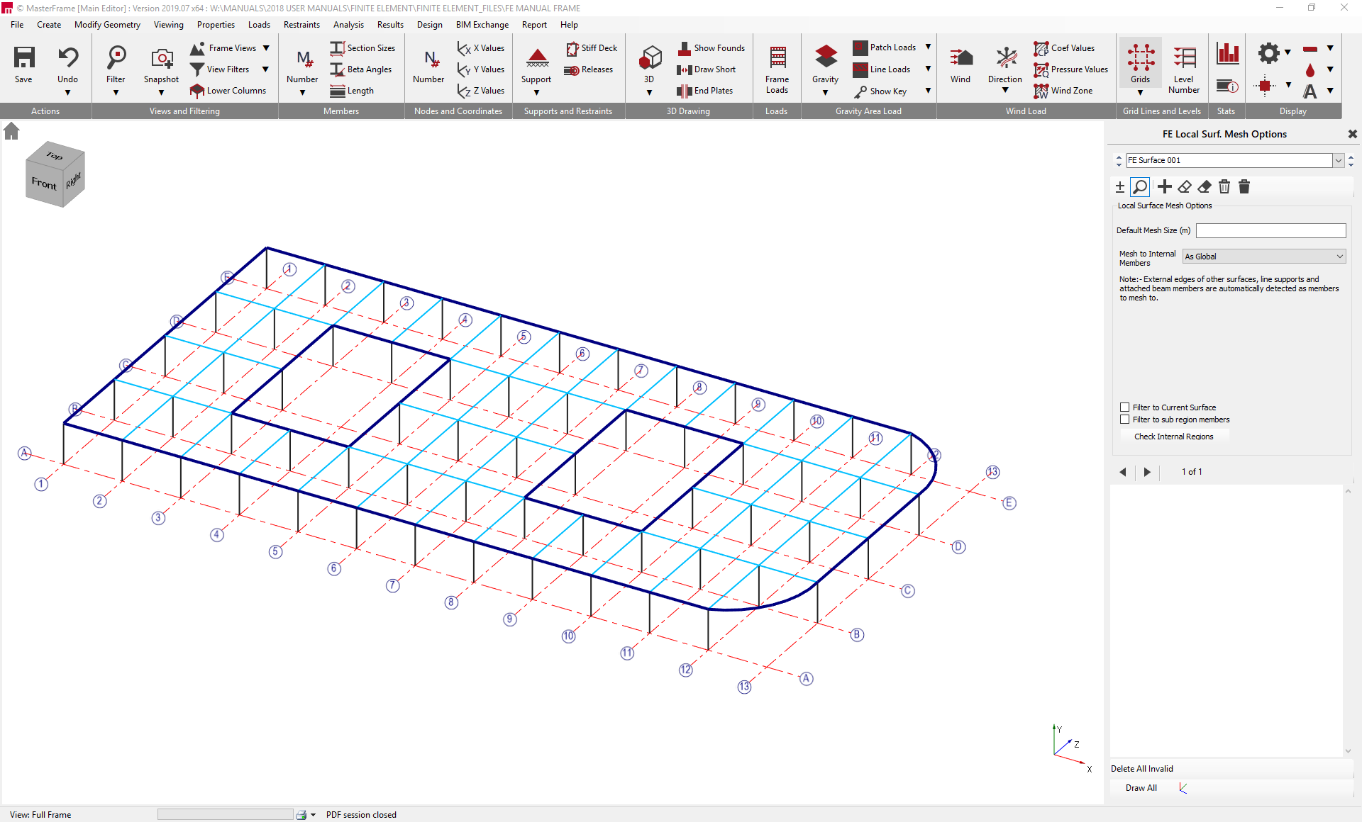 Local Surface Mesh Options