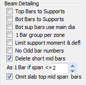 Beam Detailing options